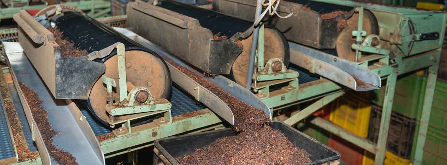 Everything about tea making and blending processes | Tealovers.com